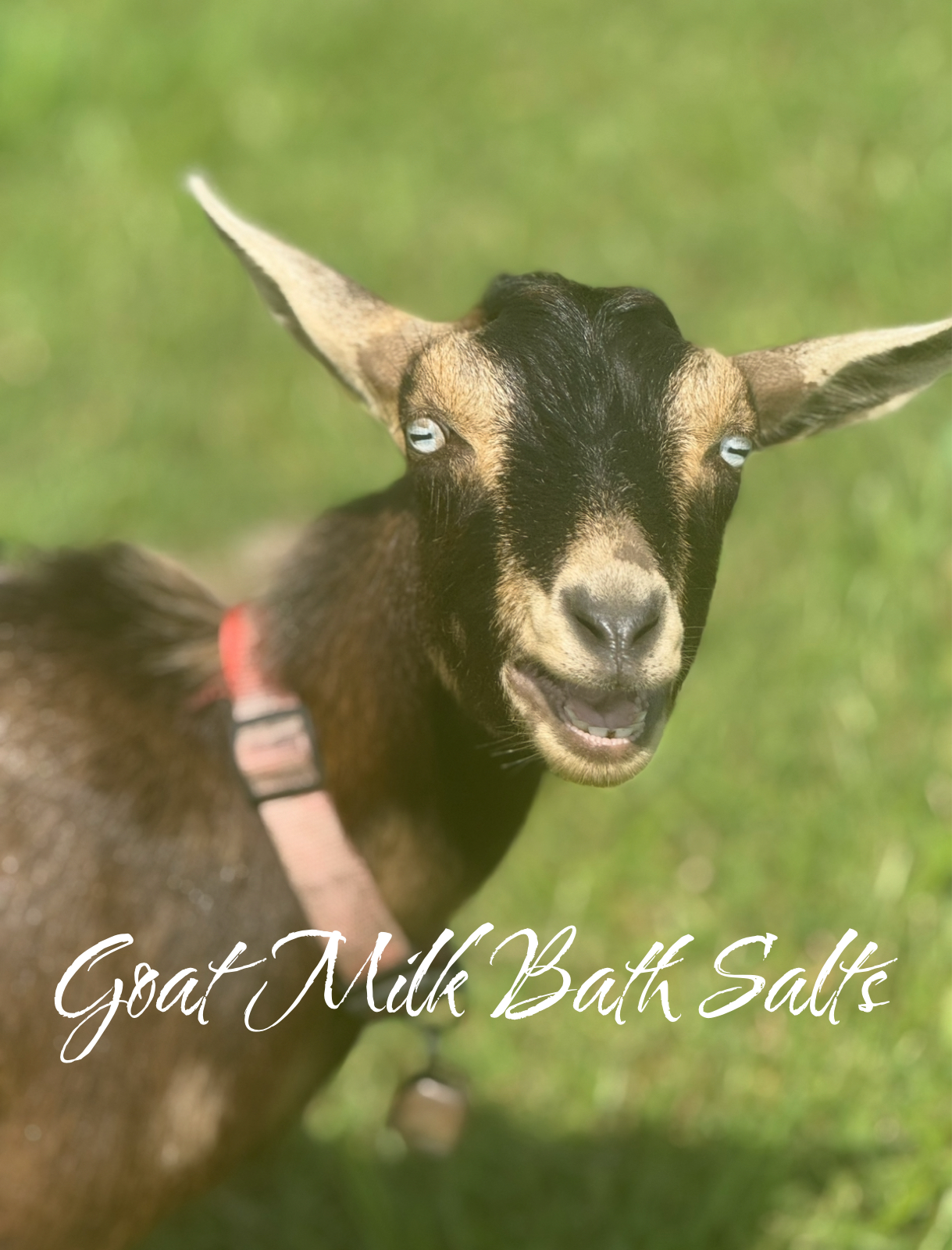 Goat milk bath salts – Willcutt Farms